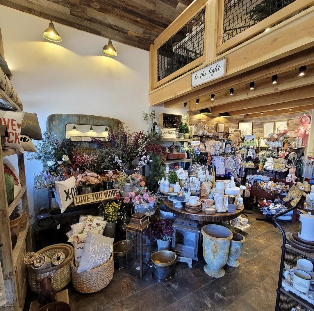 Home - Tiny Timbers Resort